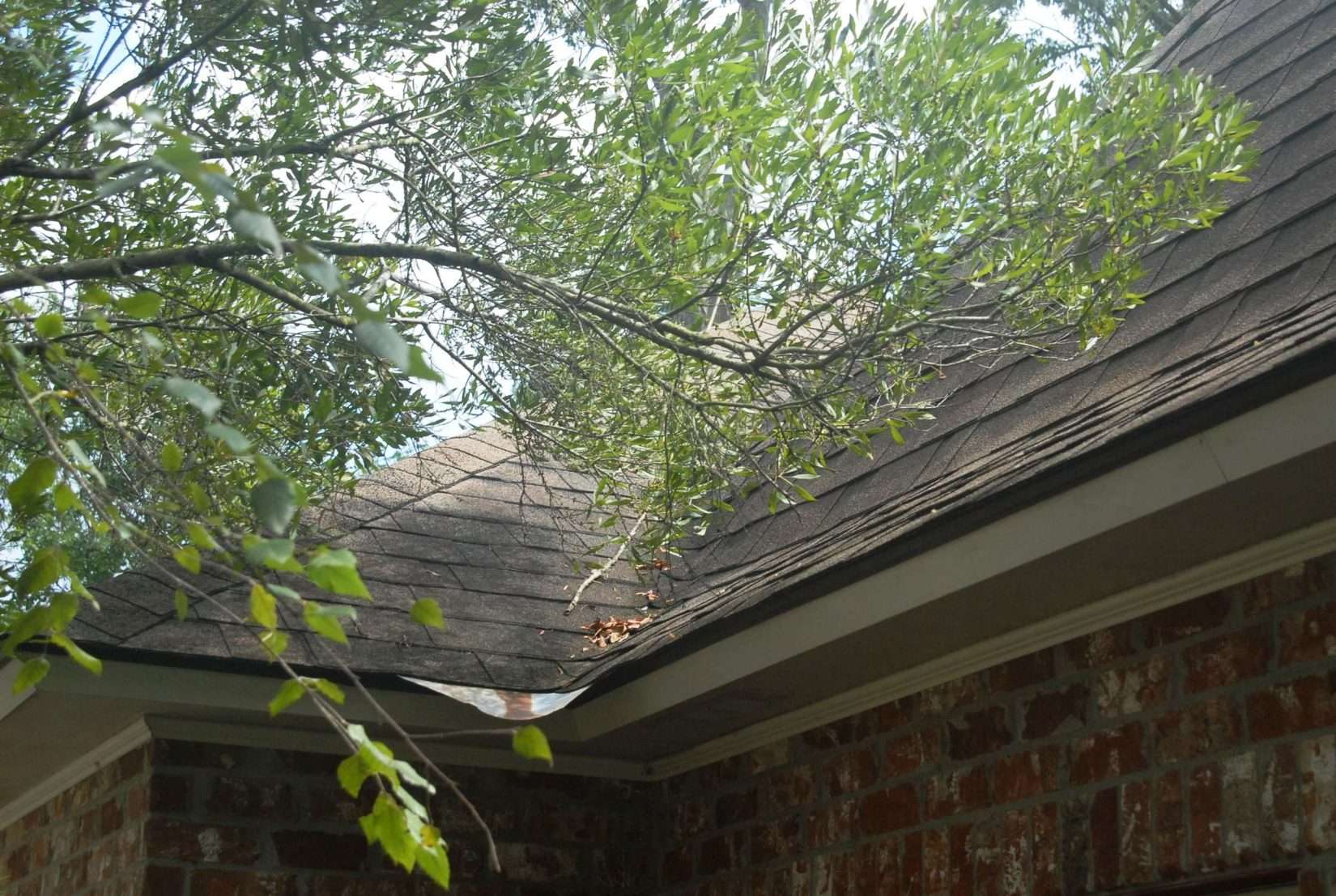 Dangers to Your Roof - Greenawalt Roofing