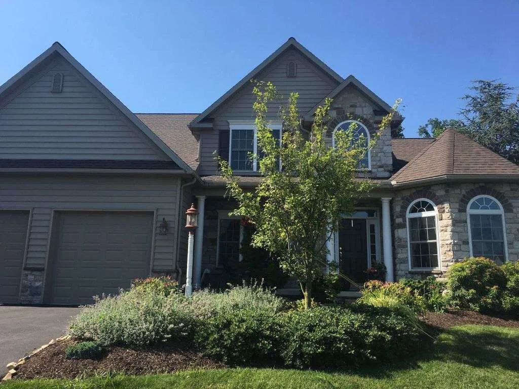 Animals Invading Your Home - Greenawalt Roofing